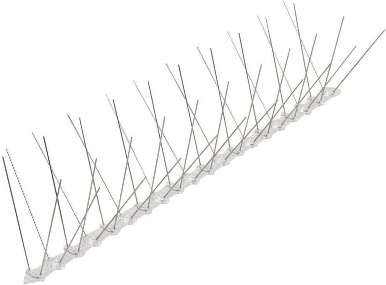 Dakota Fields 5 Metre Stainless Steel & Polycarobonate Bird Spikes ...