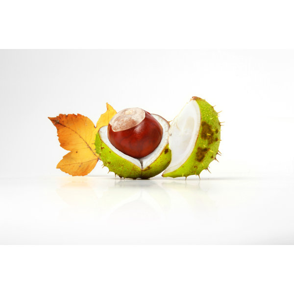 17 Stories Fruits Of Fall by Abu - No Frame Art Prints on Canvas ...