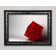 Bright Star Red Jelly Cube - Single Picture Frame Print | Wayfair.co.uk