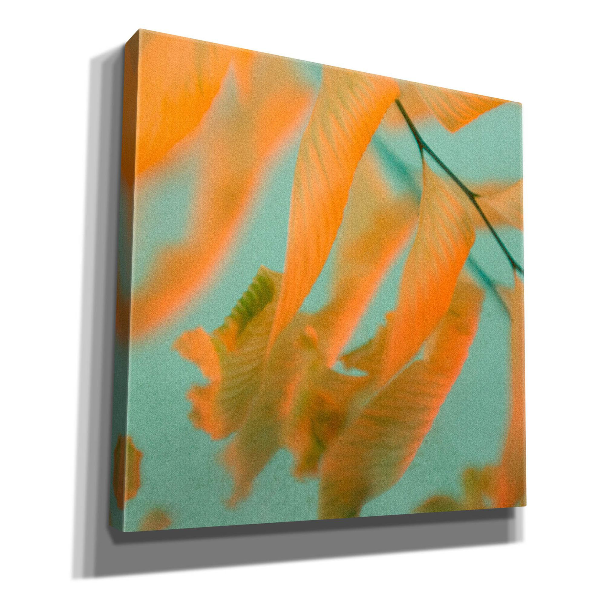 Red Barrel Studio® Red Barrel Studio 'Fern Dance 1' By Judy Stalus ...