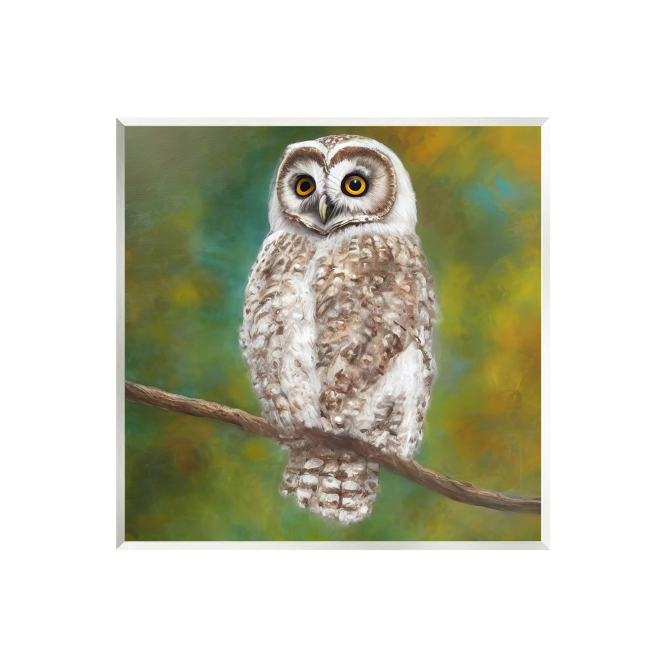 Stupell Industries Detailed Wildlife Owl Bird Giclee Art By Alpenglow ...