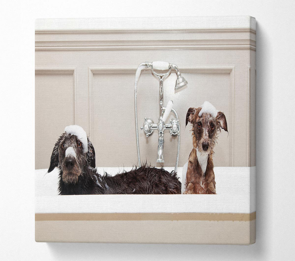 Marlow Home Co. Bath Time Dogs Square Canvas Print | Wayfair.co.uk