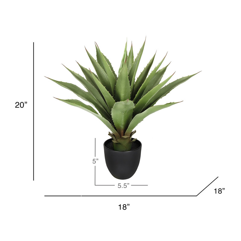Primrue Coleman 20'' Faux Agave Plant in Pot | Wayfair