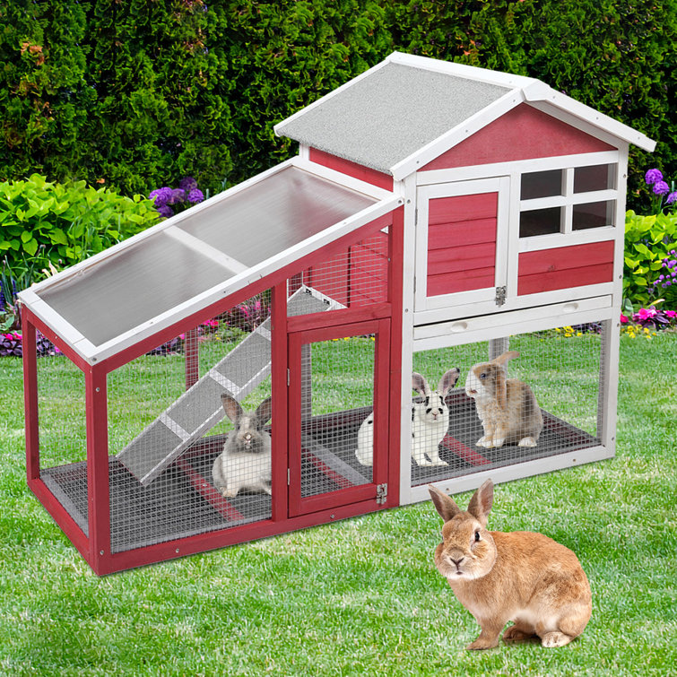 Tucker Murphy Pet™ Cage à lapin 54 po en bois résistante aux ...