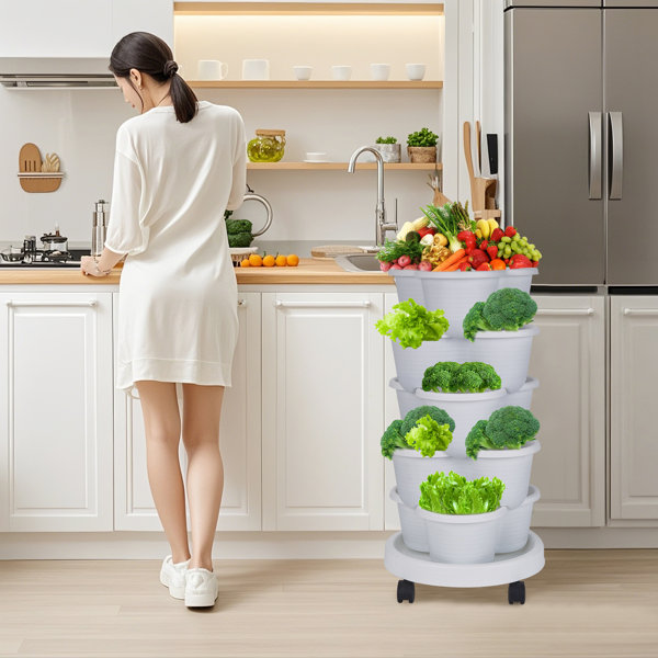 Arlmont & Co. Soban 2 Pcs Strawberry Vertical Planter, 5 Tiered ...