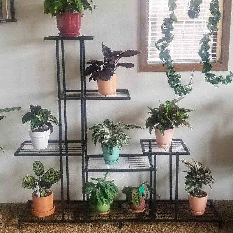 Arlmont & Co. Metal Plant Stand, 5 Tiers Multifunctional Plant Stands ...