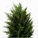 Leaf 120cm Faux Boxwood Topiary in Pot Liner | Wayfair.co.uk