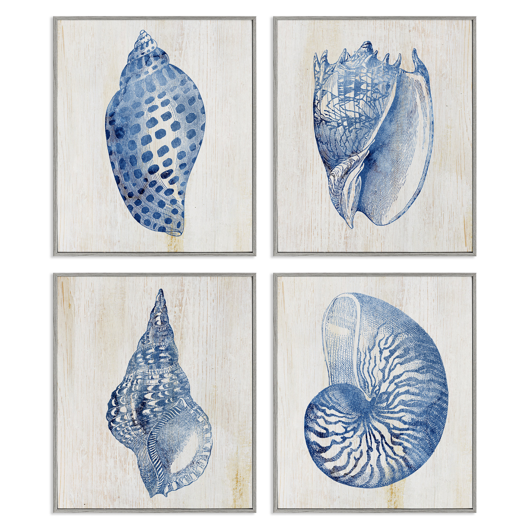 Dovecove Blue Seashells on Beige 4pc Framed Giclee Set, design by Susan ...