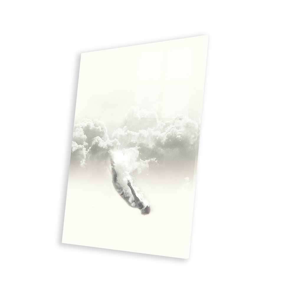 Ivy Bronx Sky Diver by Fran Rodriguez - Unframed Graphic Art | Wayfair