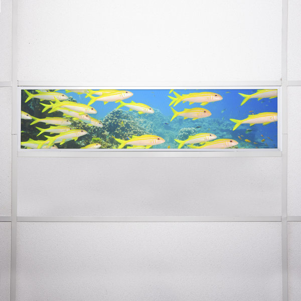 Octo Lights Ocean Rectangle Fixture Component Ceiling Light | Wayfair