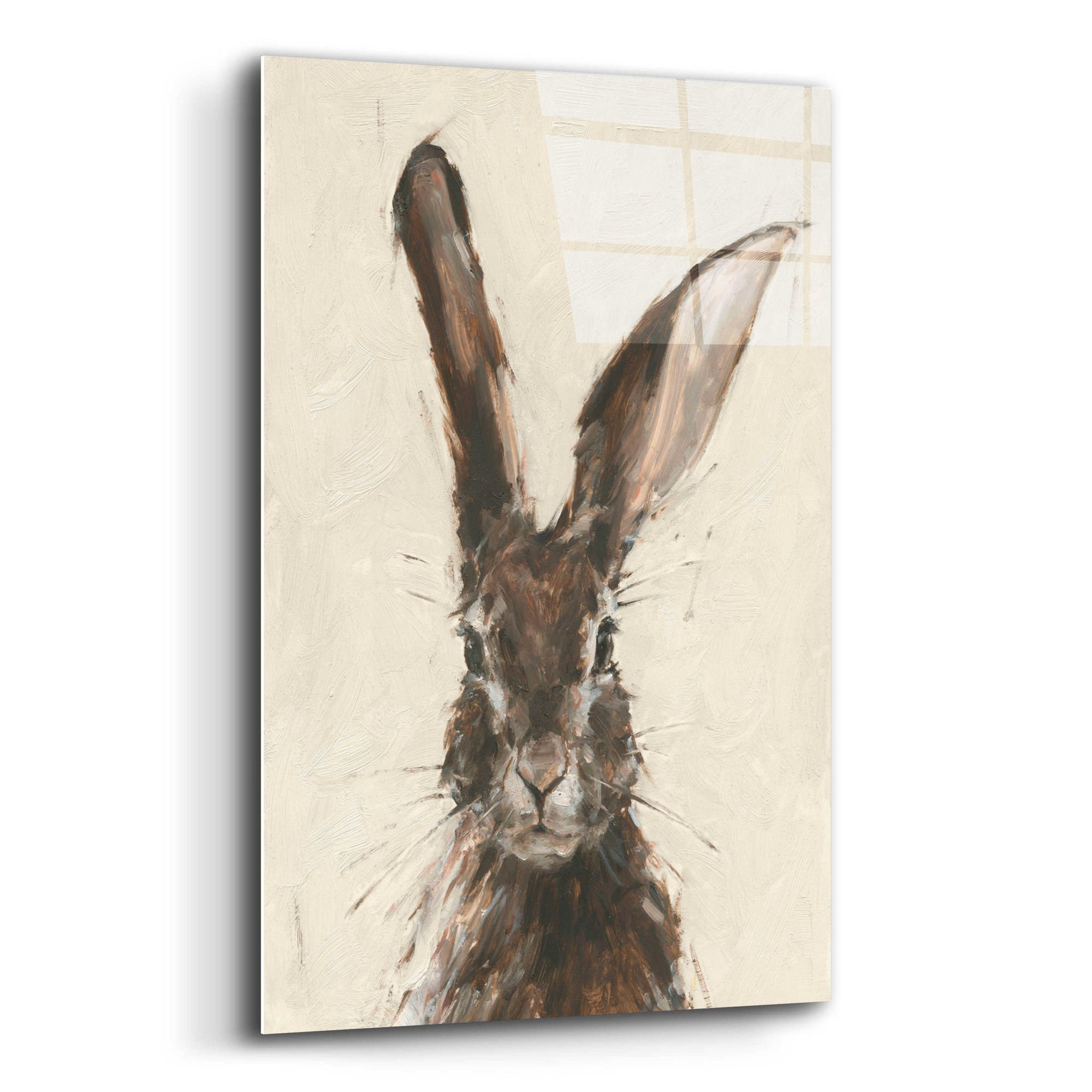 August Grove European Hare II' By Ethan Harper, Acrylic Glass Wall Art ...
