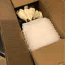 Gracie Oaks Magnolia Centerpiece in Vase & Reviews | Wayfair