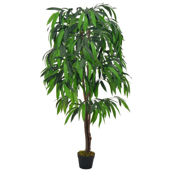 The Seasonal Aisle Mango Tree in Pot & Reviews | Wayfair.co.uk
