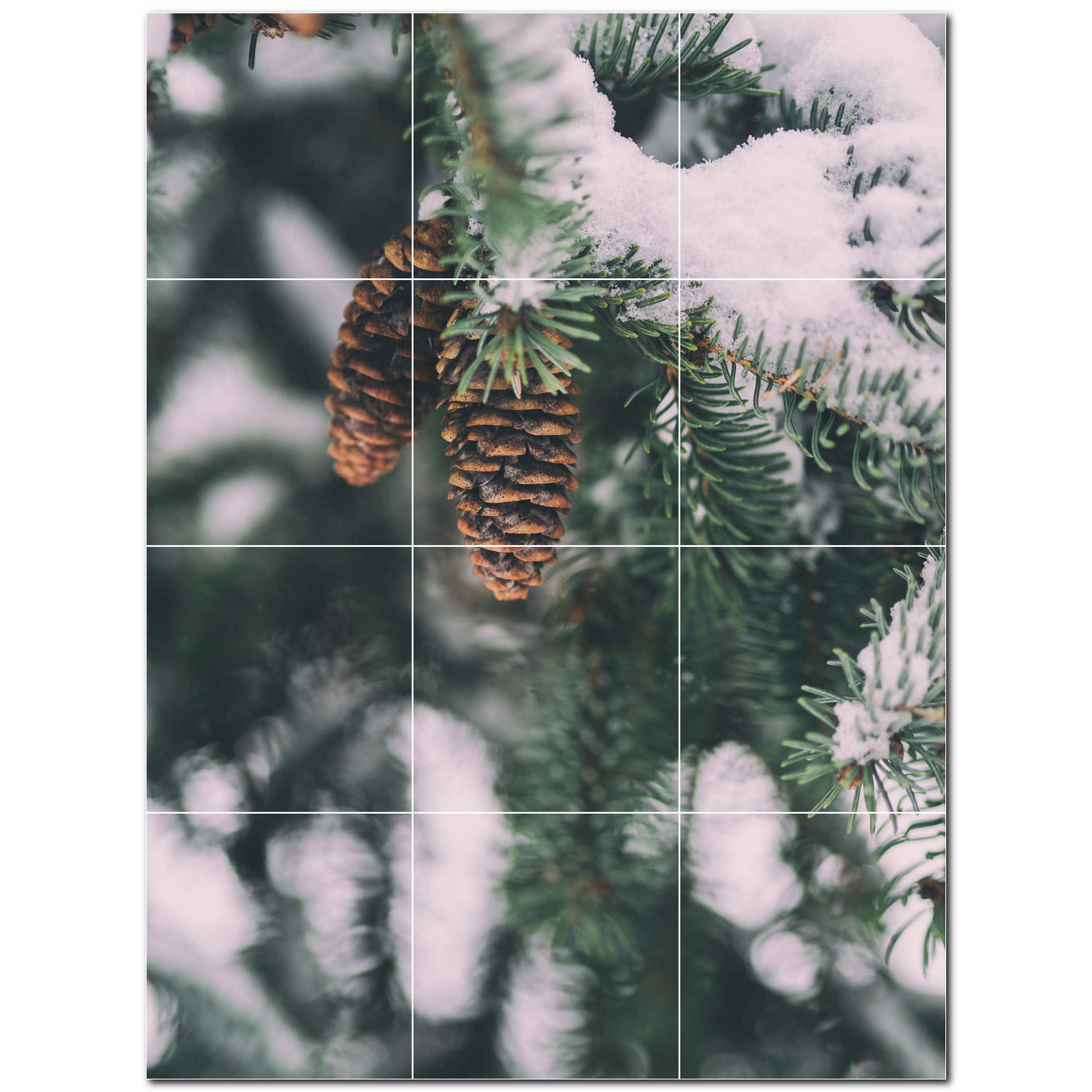 Picture-Tiles.com Winter Photo 4.25'' x 4.25'' Satin Ceramic Decorative ...