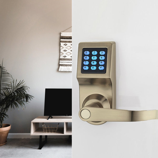 Colosus Electronic Trusted Digital Keyless Door Lock, Keypad ...