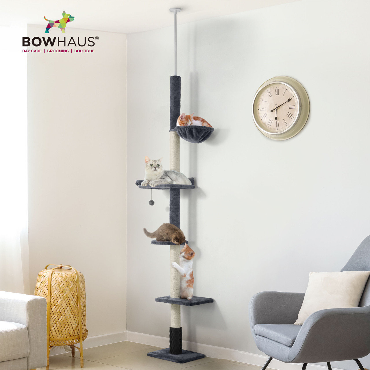 Tucker Murphy Pet™ Floor to Ceiling 104”-115” Height Adjustable Multi ...