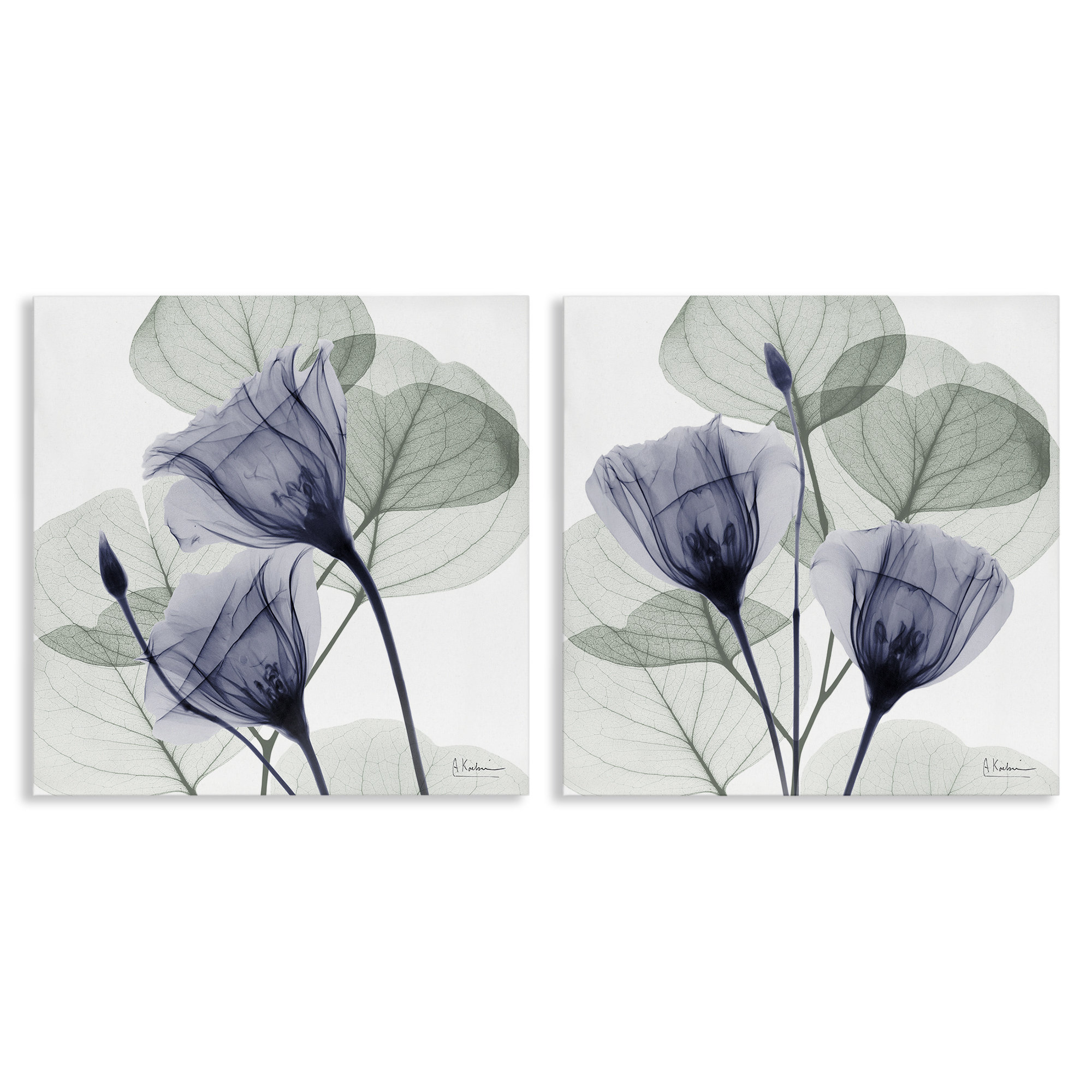 Mercer41 Fading Florals & Herbs 2pc Canvas Set, design by Albert ...
