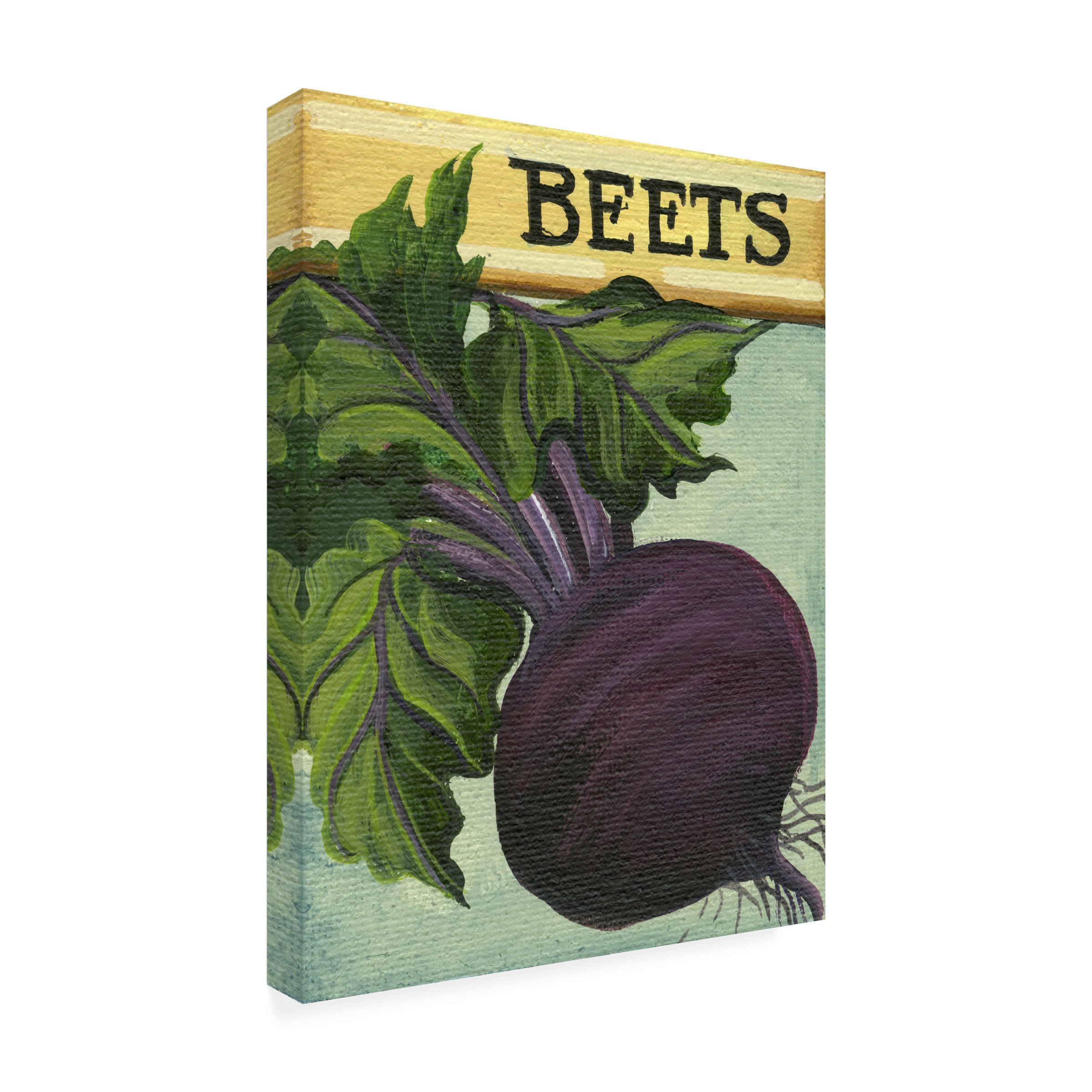 August Grove® Magrans Seed Packets 18 - Beets On Canvas by Debbi Wetzel ...