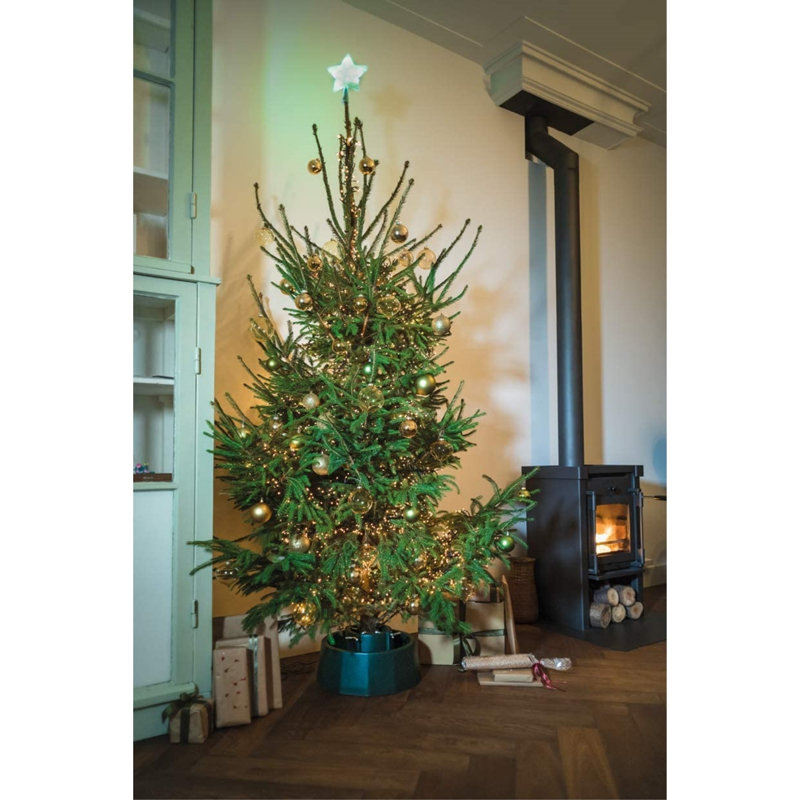 Tree Nest Robust Christmas Live Tree Stand | Wayfair