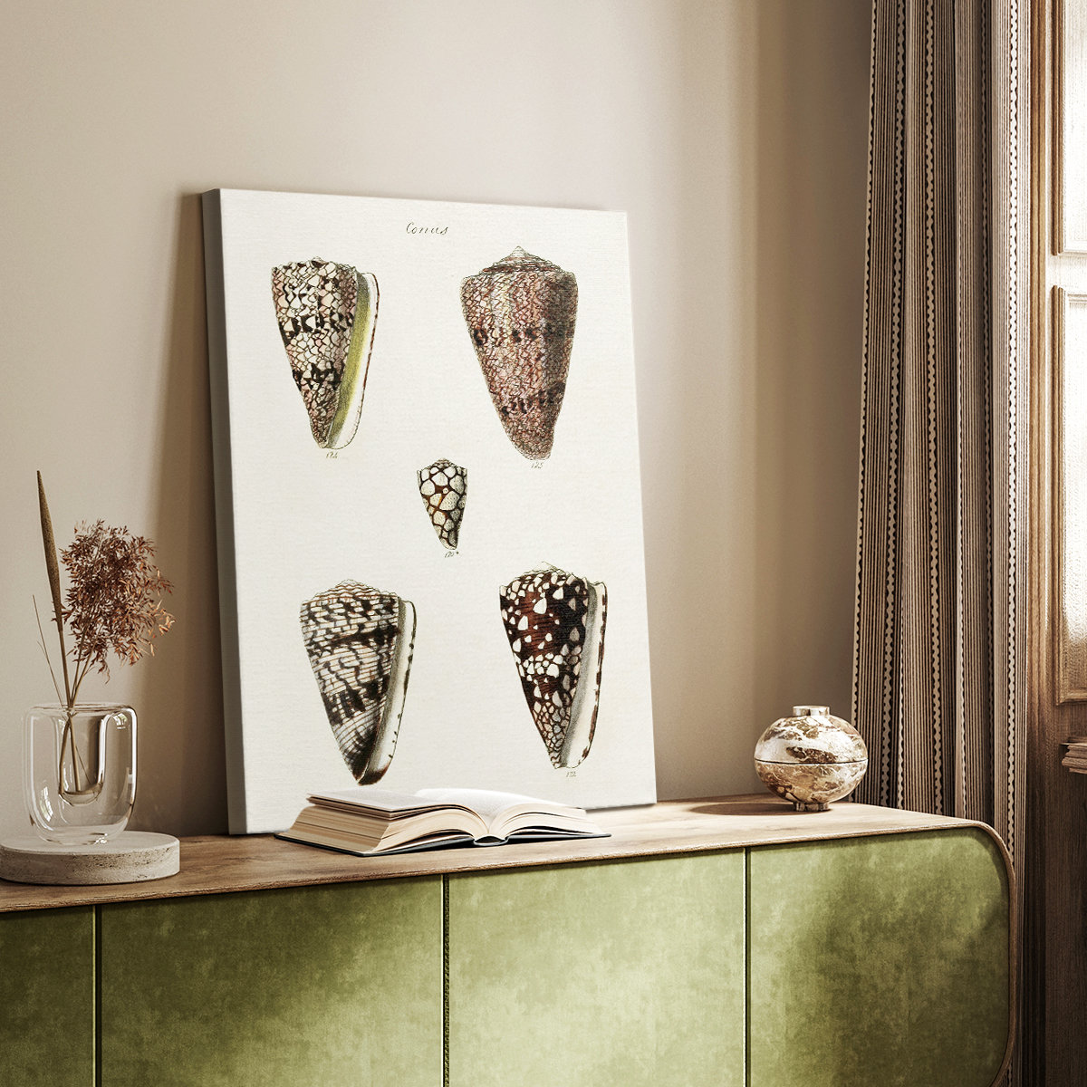 Dovecove Cone Shell Collection III -Gallery Wrapped Cavas | Wayfair