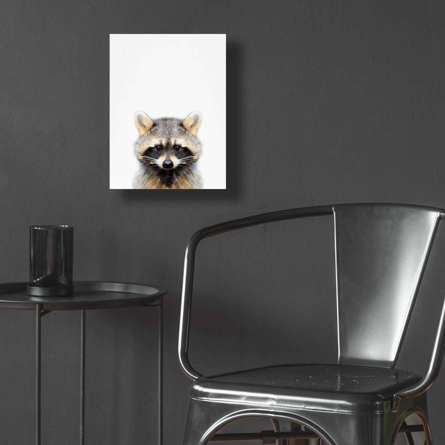 Redwood Rover Raccoon' by Tai Prints, Acrylic Glass Wall Art | Wayfair