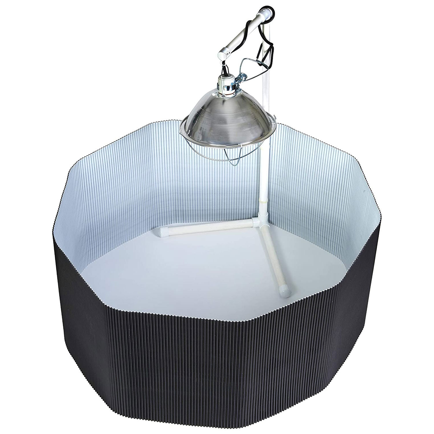 Little Giant Farm Chick/Chicken/Hen/Pullet Brooder Round Plastic ...