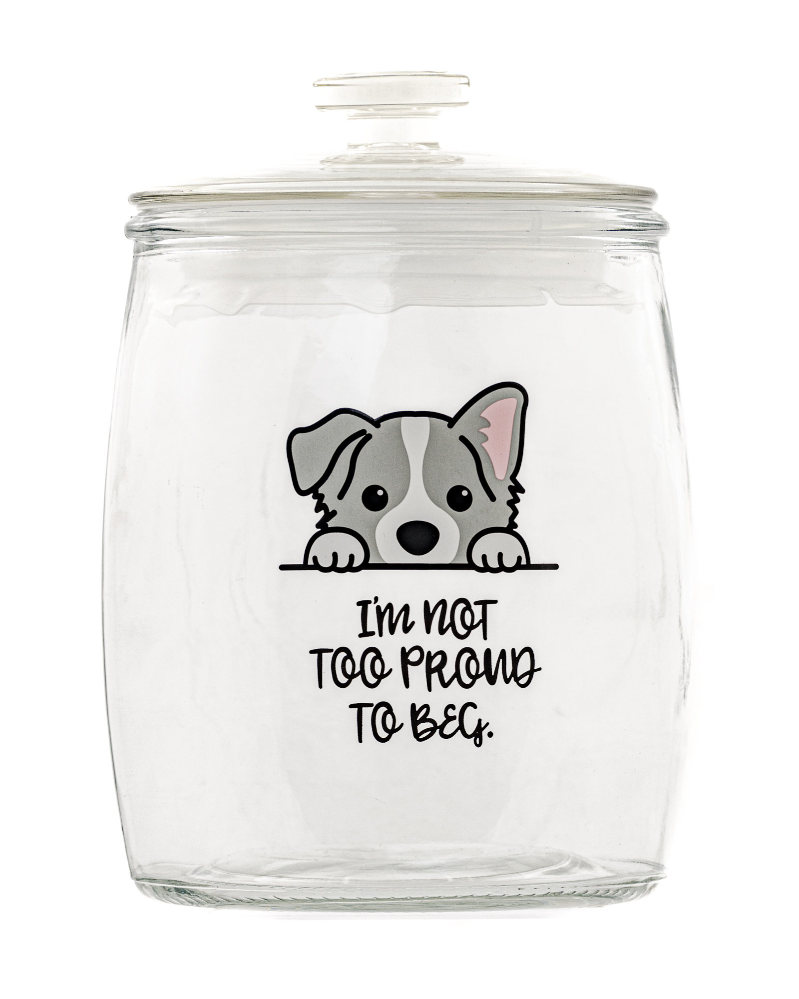 Ten Strawberry Street 10 Strawberry Street "Not Too Proud To Beg" Pet ...