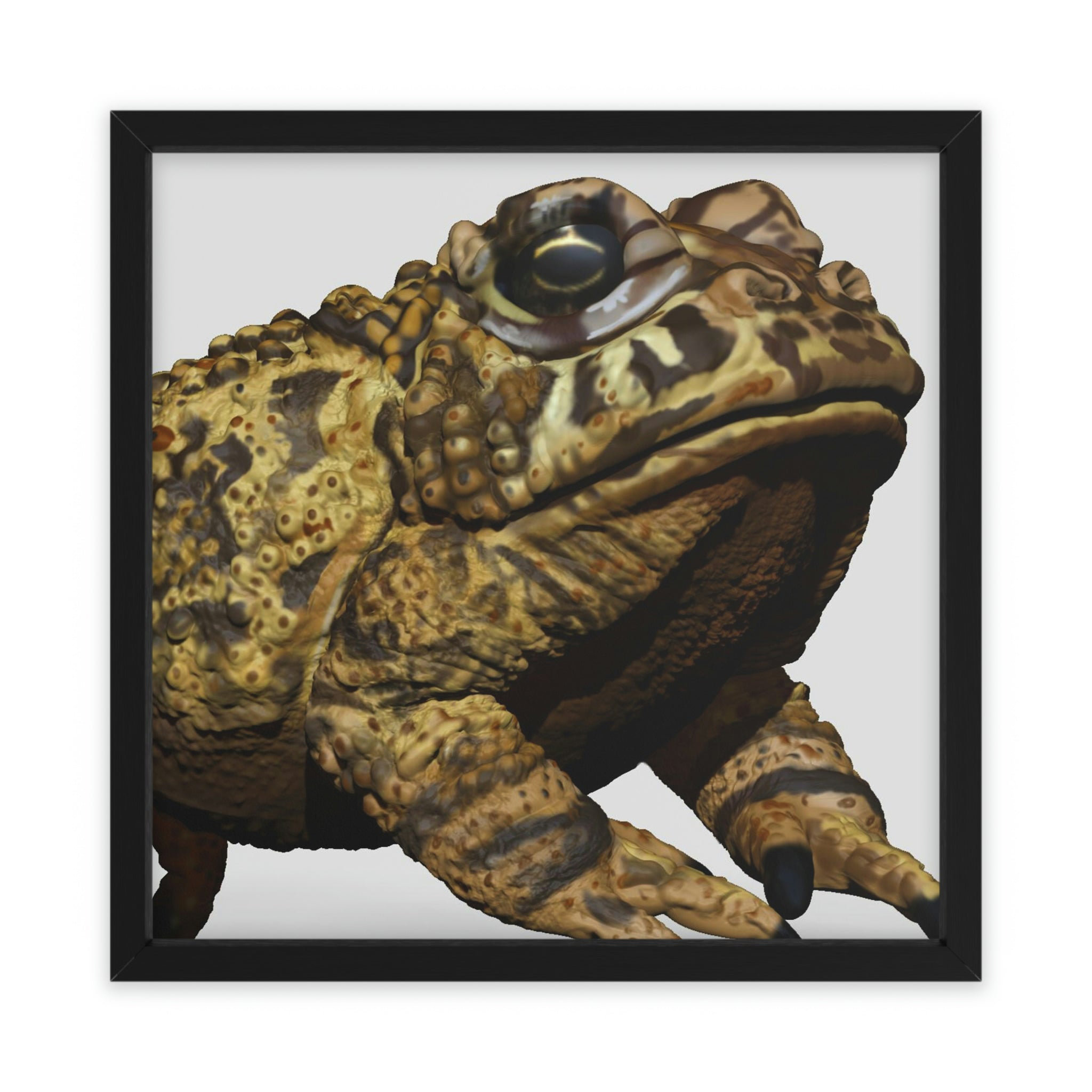 Latitude Run® Yellow Toad Framed Poster - Wayfair Canada
