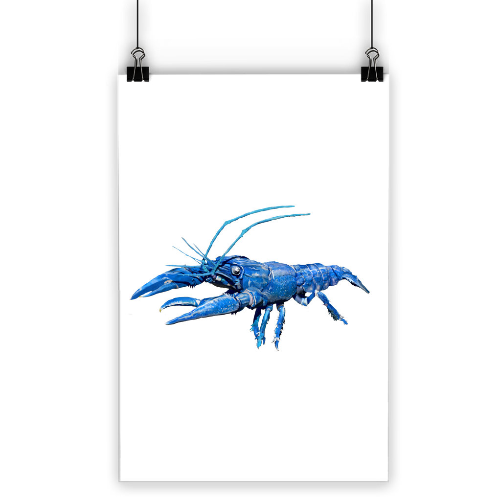 Highland Dunes Blue Crawfish - Unframed Graphic Art | Wayfair
