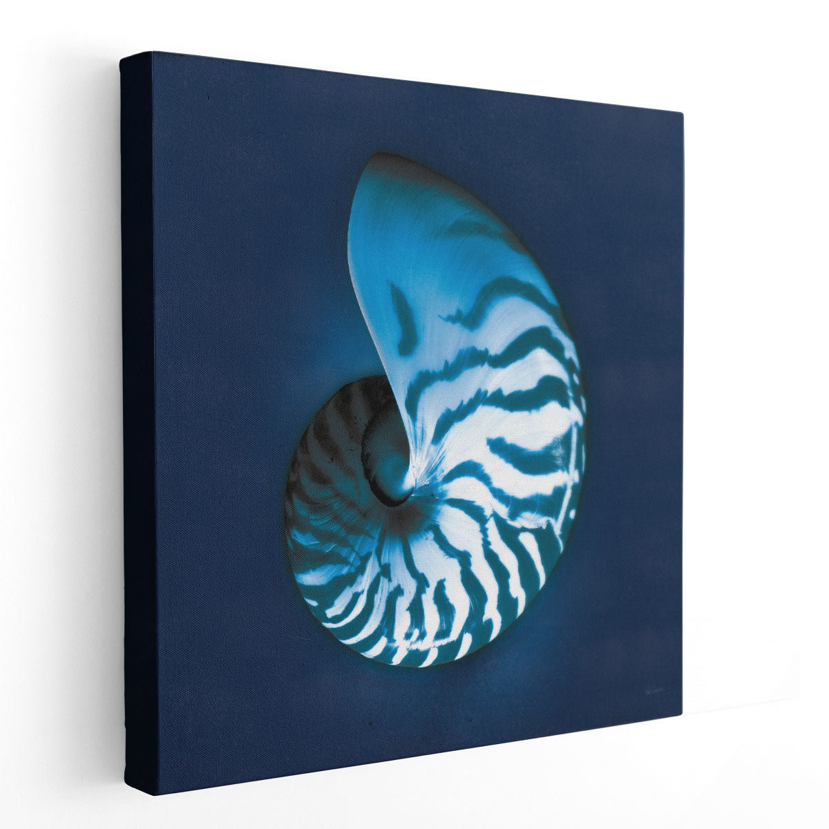 Dovecove Cyanotype Sea I - Canvas Print Wall Art | Wayfair