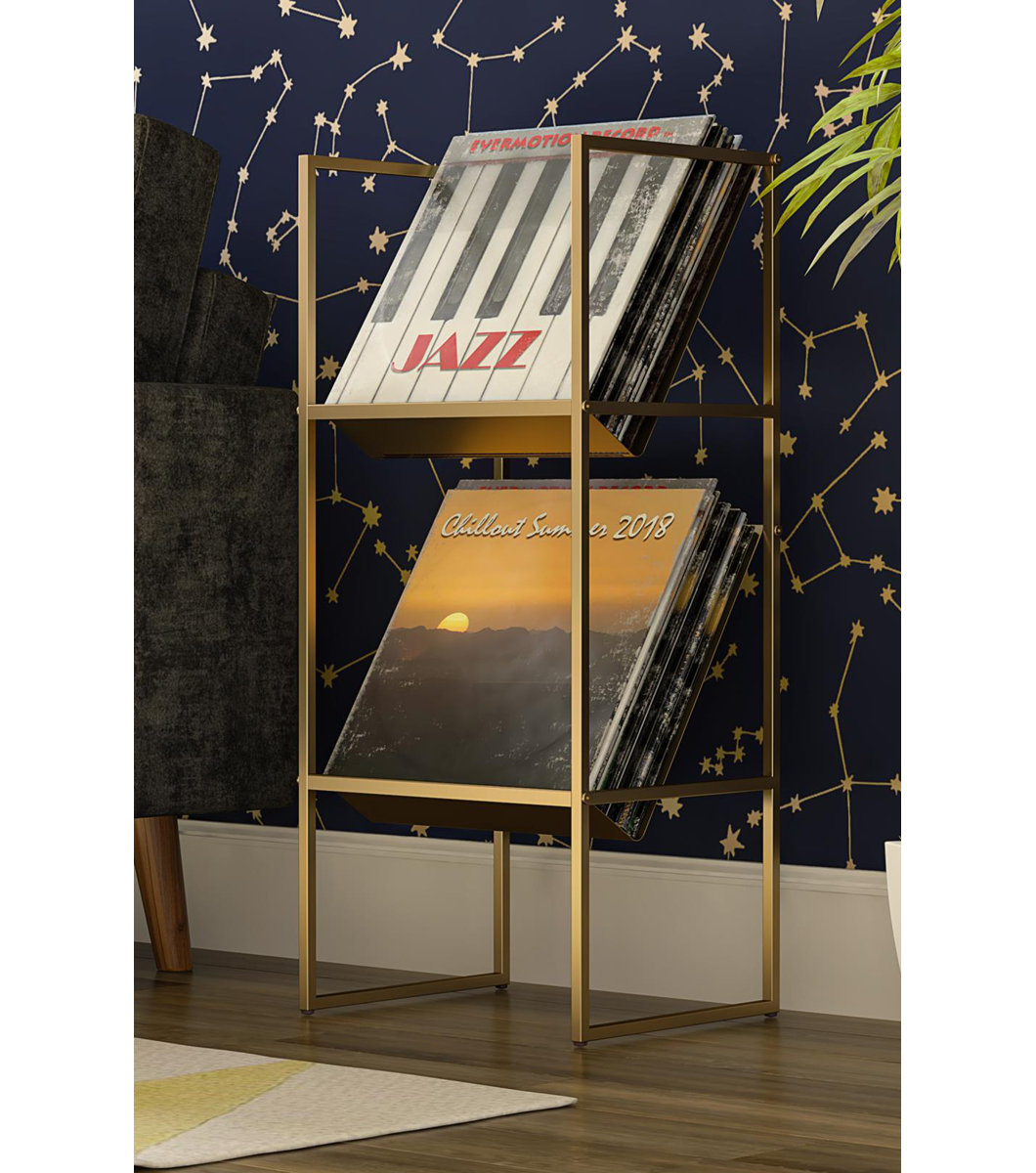 17 Stories Helix Vinyl Record Multimedia Storage Stand & Reviews ...