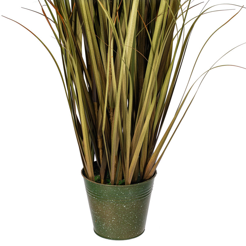 Rosecliff Heights 55" Artificial Potted Green Grass and Natural Reeds ...
