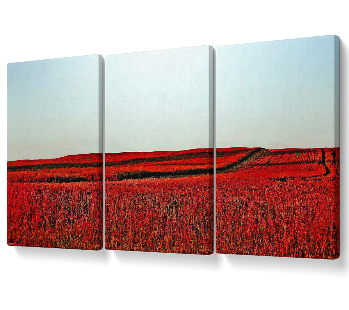 Ebern Designs Red Meadow - 3 Piece Wrapped Canvas Graphic Art | Wayfair ...