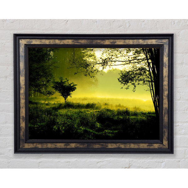 Bright Star Countryside Mist - Single Picture Frame Print | Wayfair.co.uk