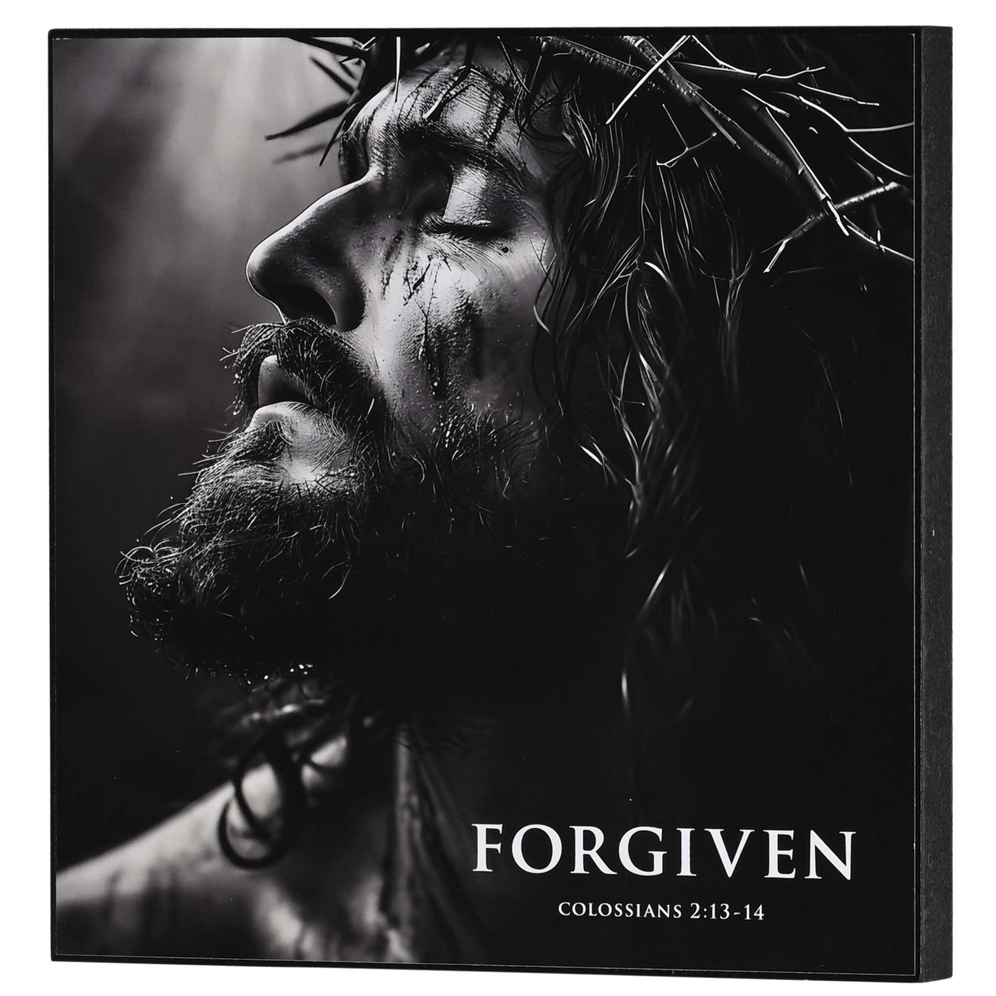 Astoria Grand Wall Plaque 8x8 Forgiven Col. 2:13-14 | Wayfair