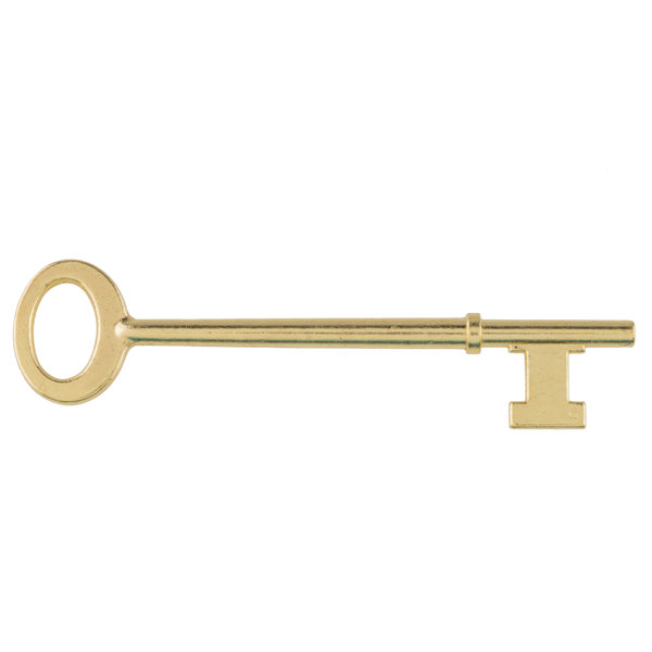 UNIQANTIQ HARDWARE SUPPLY Skeleton Key | Wayfair