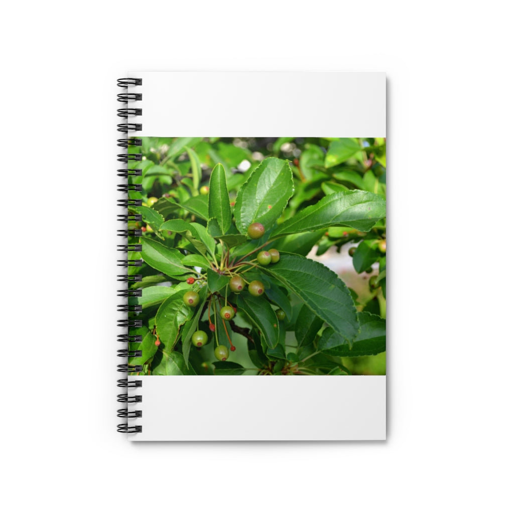 Marick Booster Seeds and Leaves Spiral Notebook | Wayfair