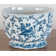 Danny's Fine Porcelain Blue/White Hand Painted Porcelain Cachepot ...