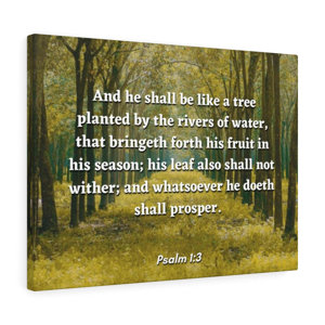 Trinx Shall Prosper Psalms 1:3 Christian Wall Art Bible Verse Print ...