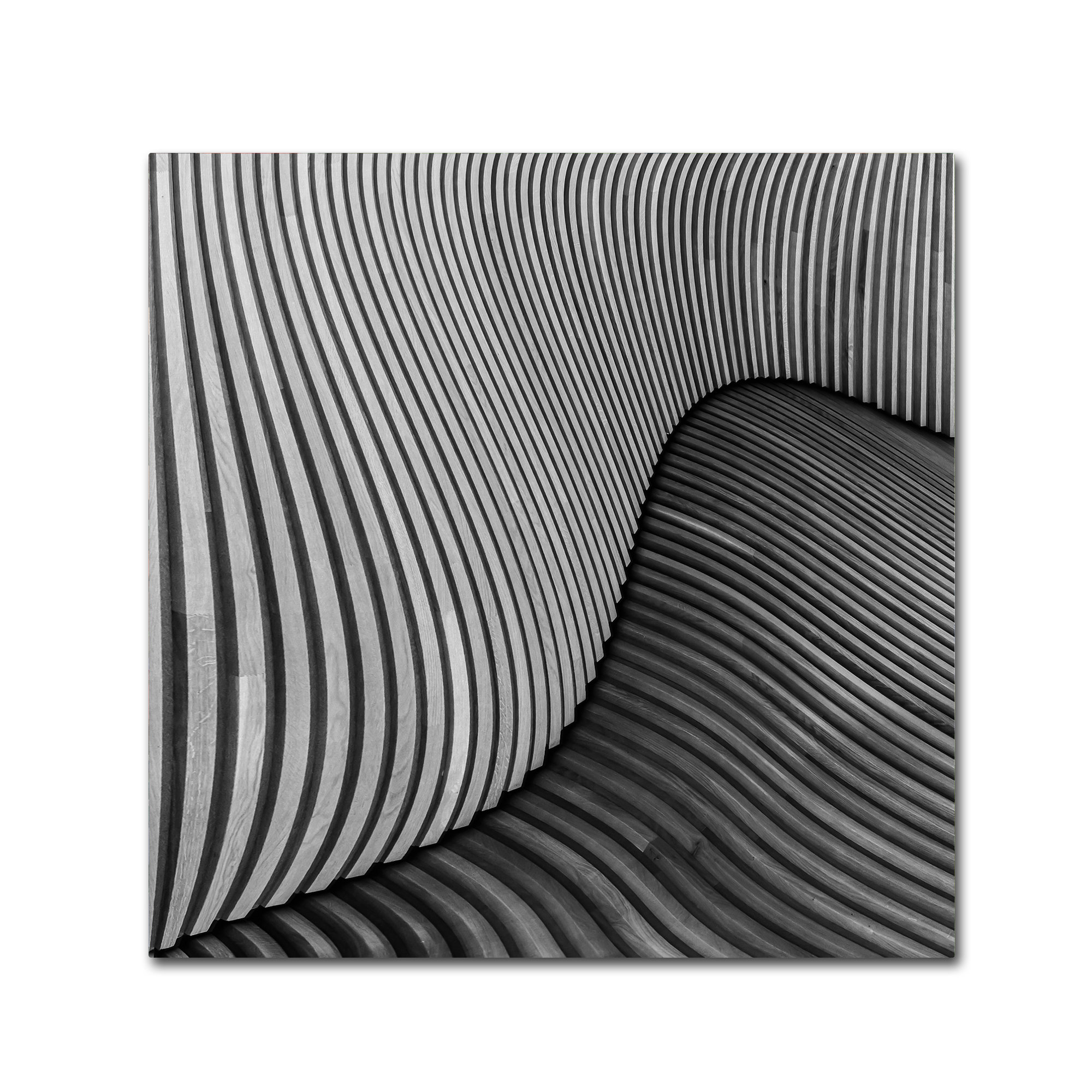 Trademark Fine Art 'Tangled Wood' Photographic Print on Wrapped Canvas ...