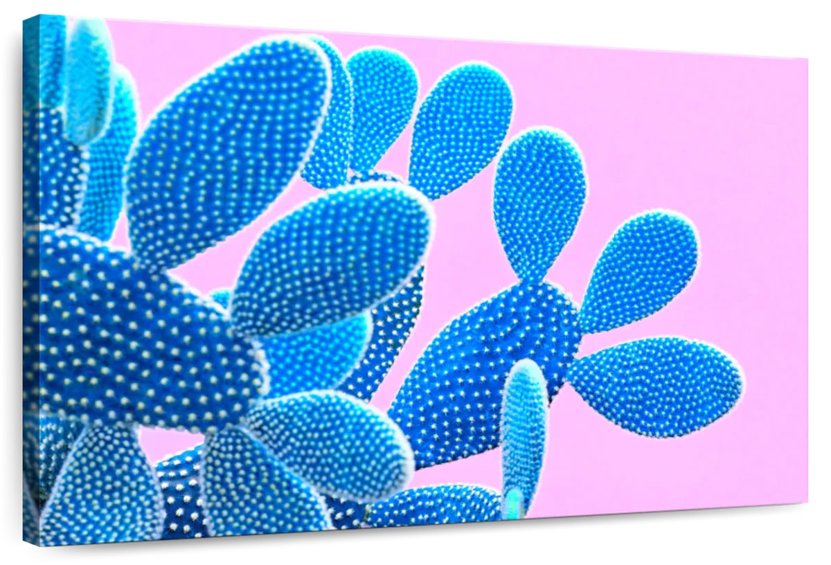 Lark Manor Harnek Blue Cactus - Wayfair Canada