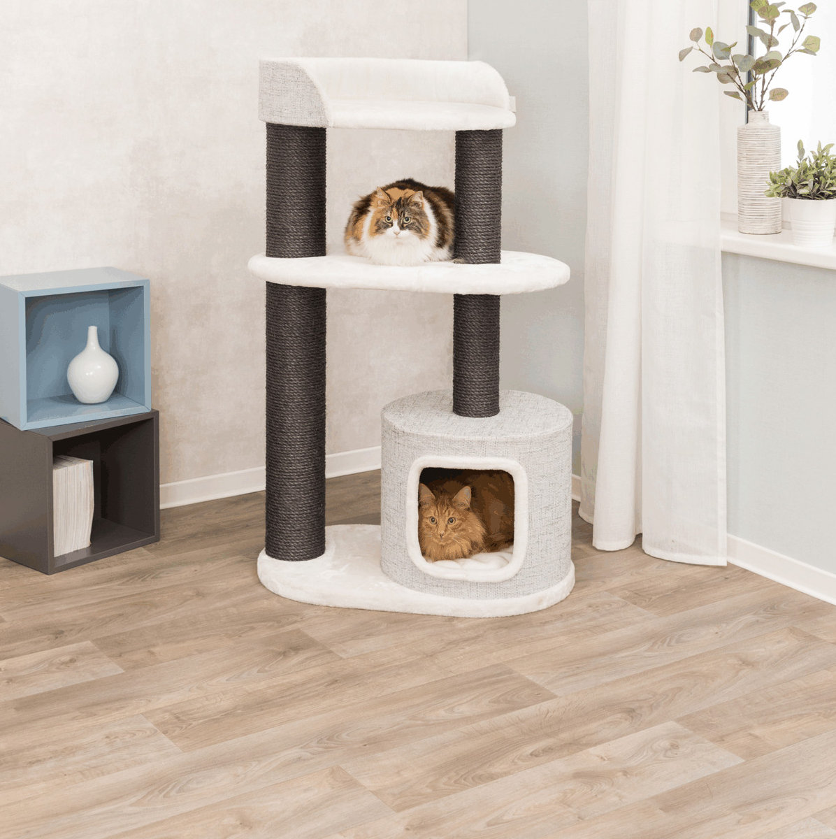 TRIXIE 49" Cara Cat Tree & Reviews - Wayfair Canada