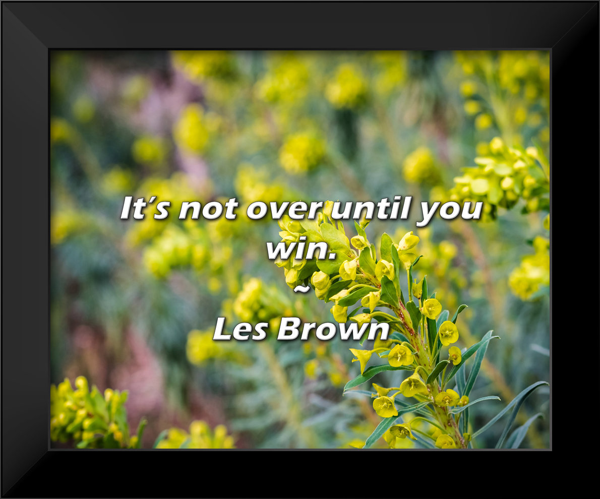 Ivy Bronx Les Brown Quote: It’s not over until you win. | Wayfair