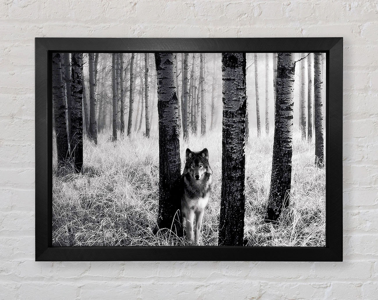 Union Rustic Forest Wolf - Single Picture Frame Art Prints | Wayfair.co.uk