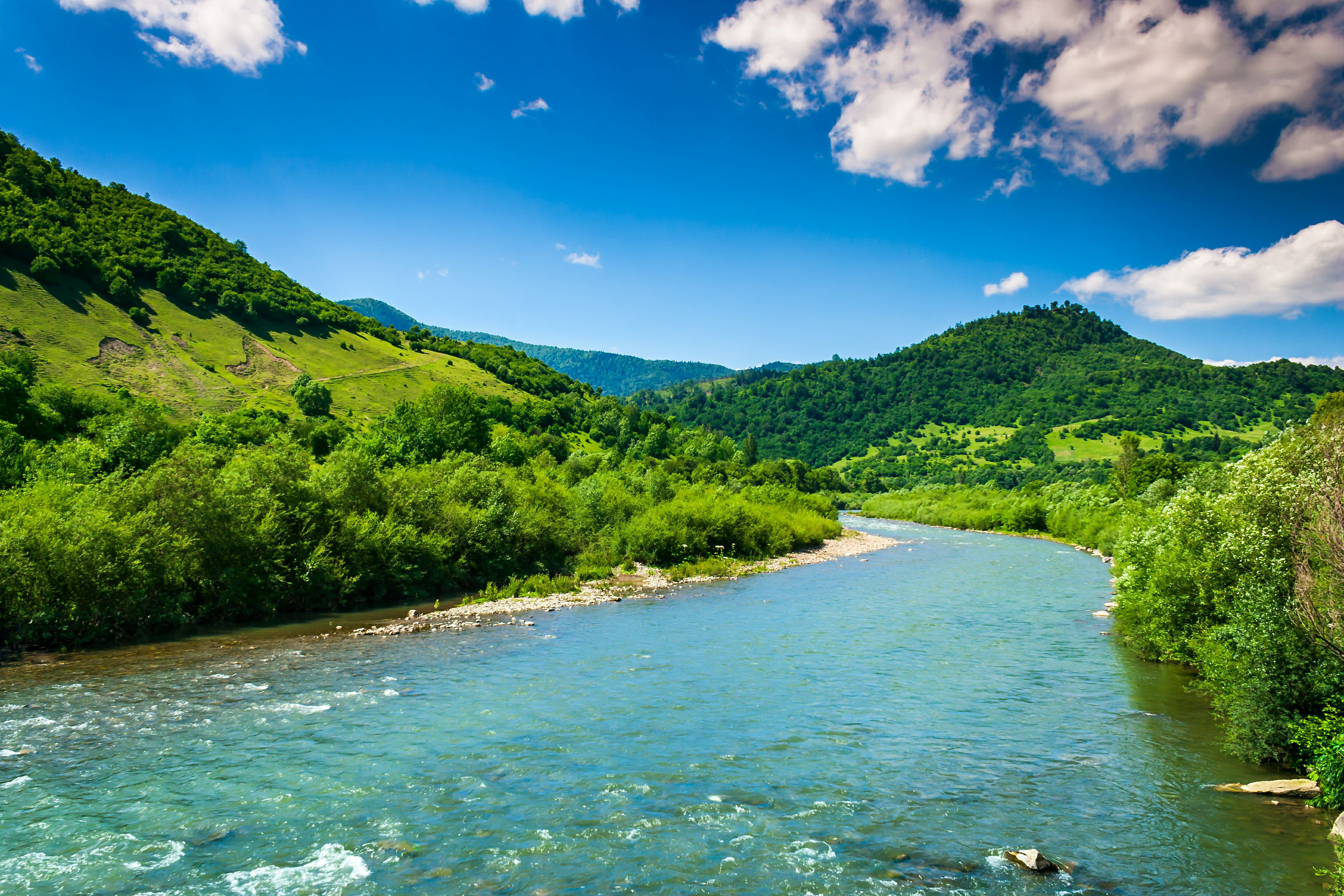 Millwood Pines Sherbourne Wild Mountain River - Wrapped Canvas ...