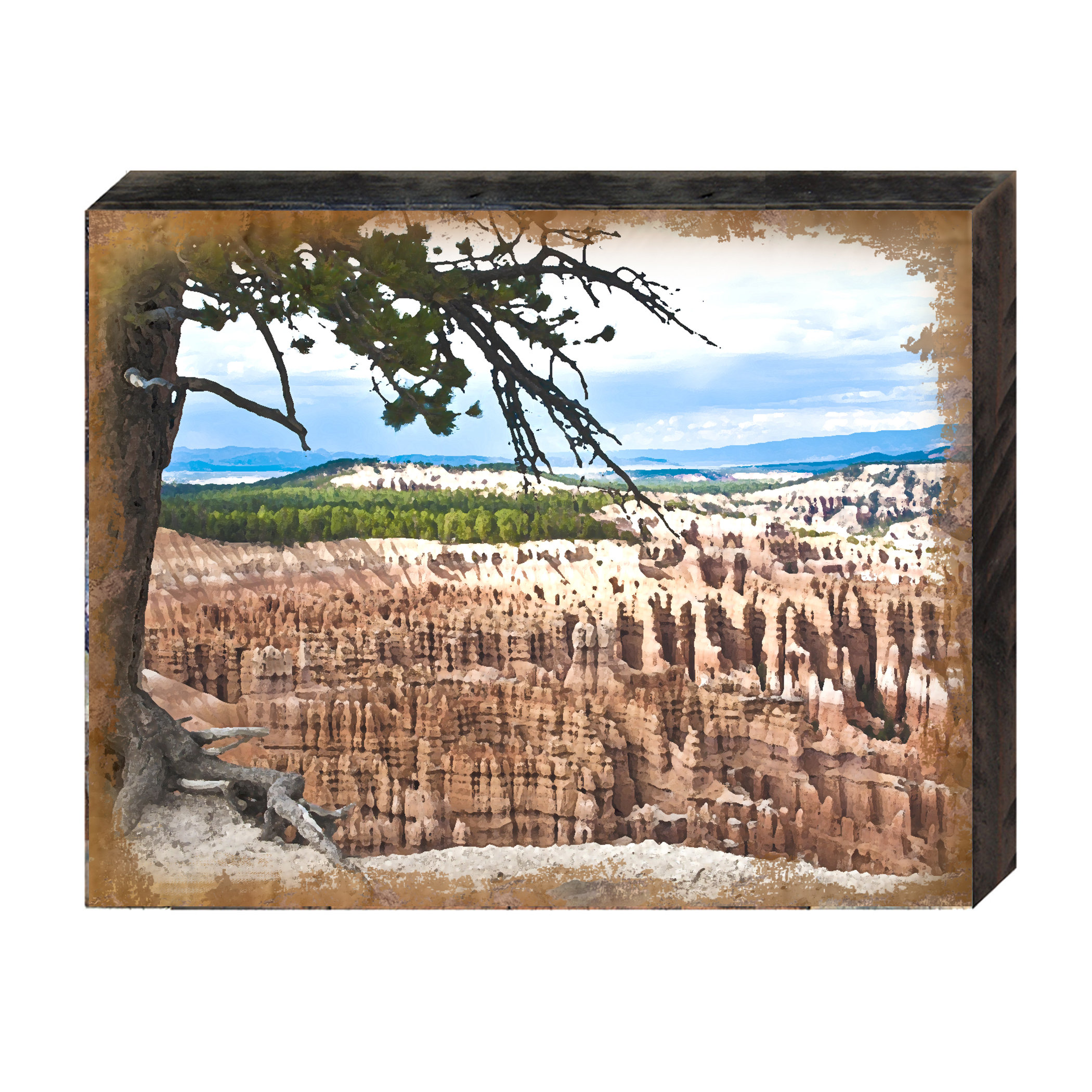 Millwood Pines Schaller Canyon Tree View Wood Block | Wayfair