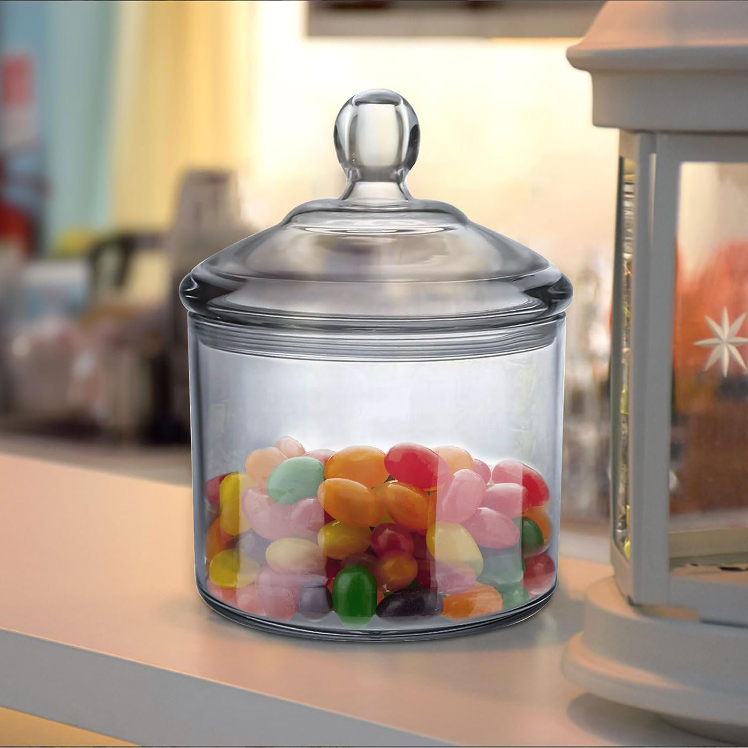 World Menagerie Cookie Jar, Candy Dish With Lid, Clear Acrylic Airtight ...