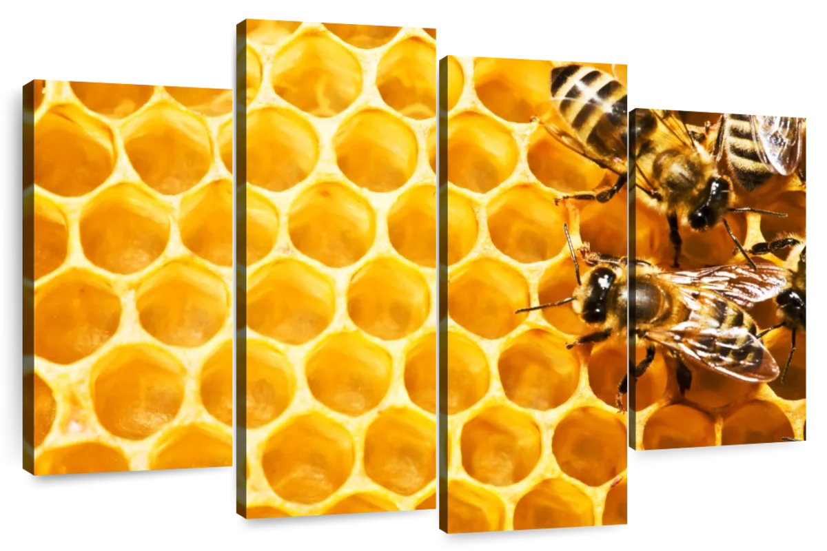 Hokku Designs Honey Bee Hive - Wayfair Canada