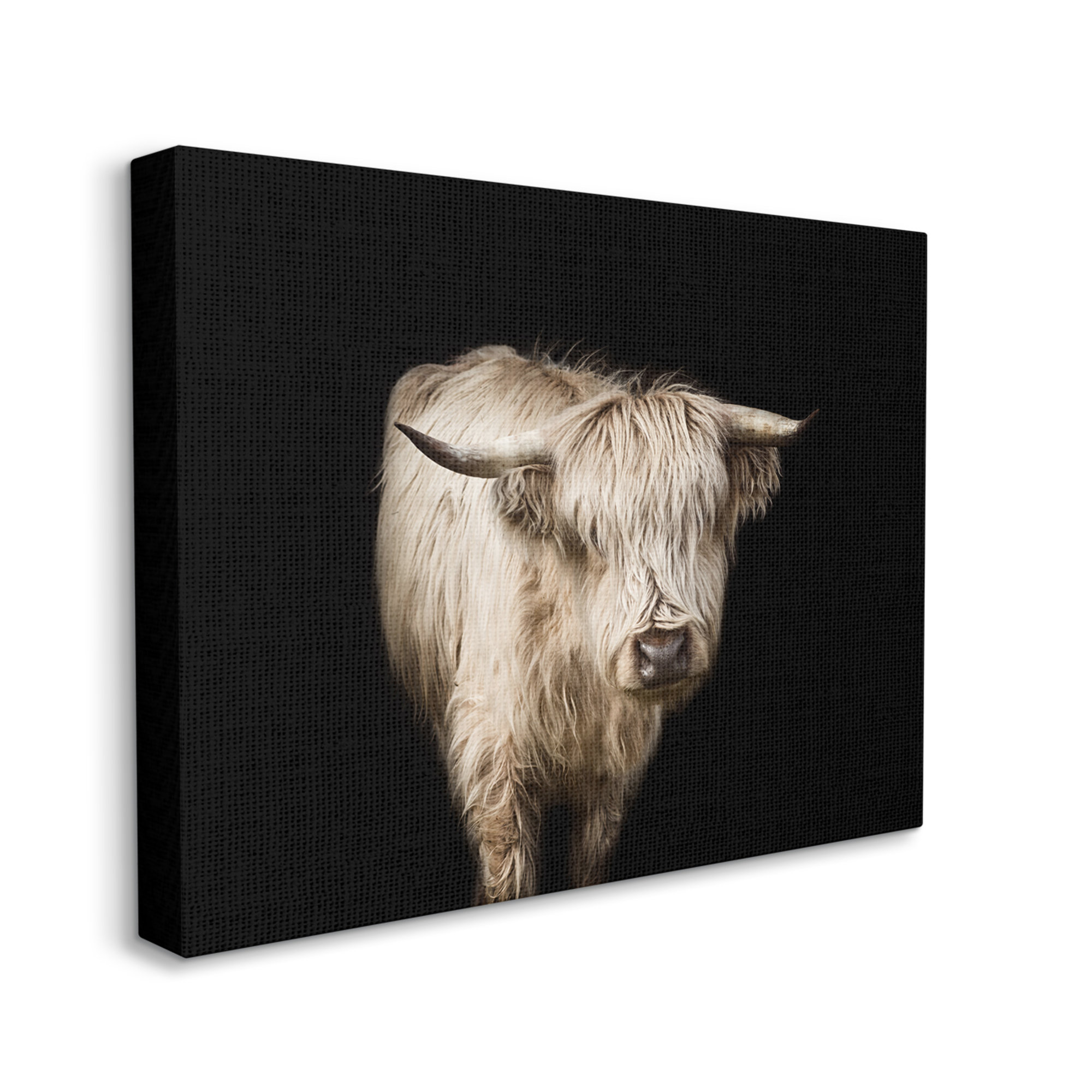 Stupell Industries Solemn Cattle Portrait Modern Farm Animal Over Black ...
