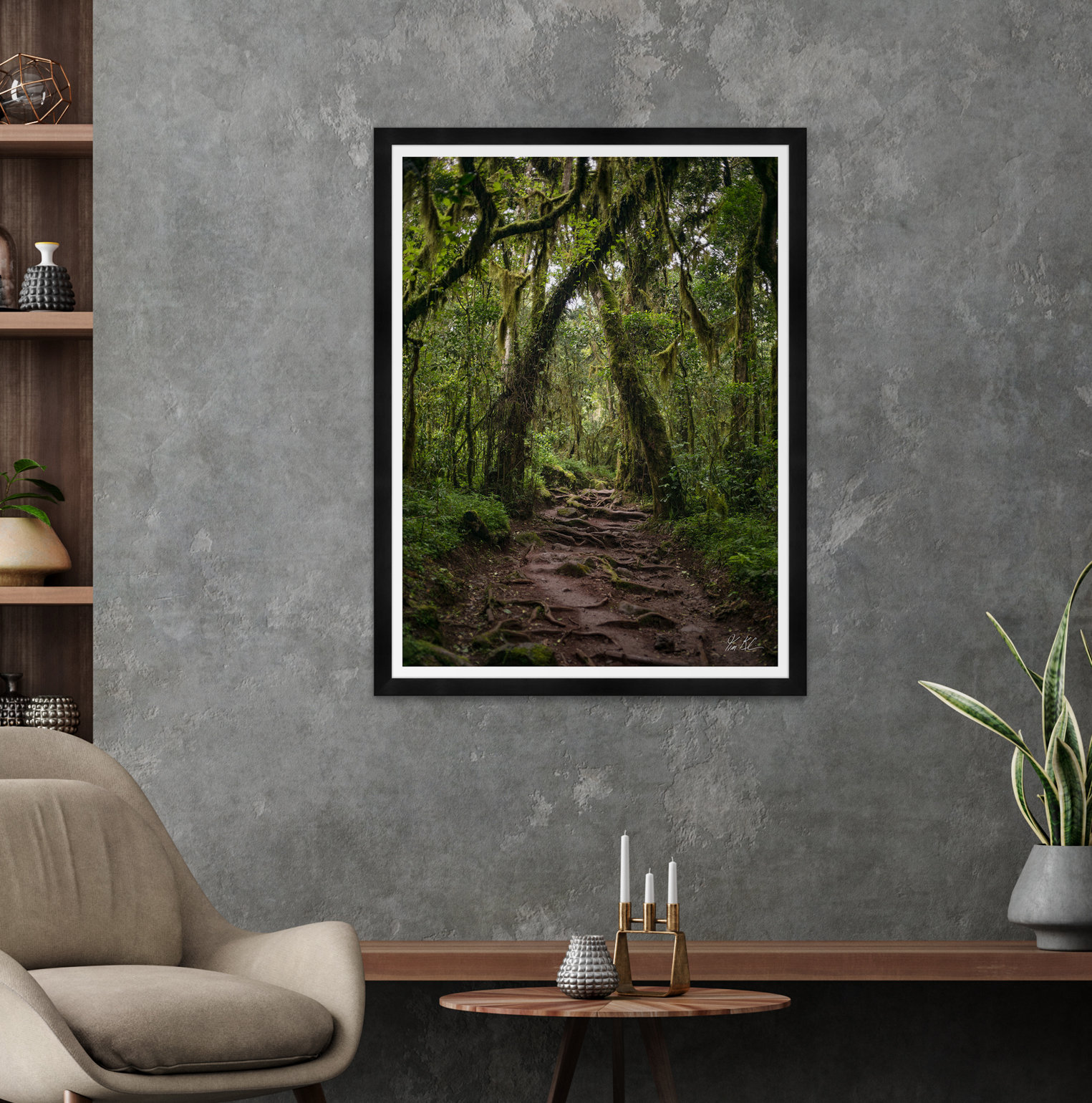 Tim Klein Photography Rainforrest by Tim Klein - Picture Frame ...